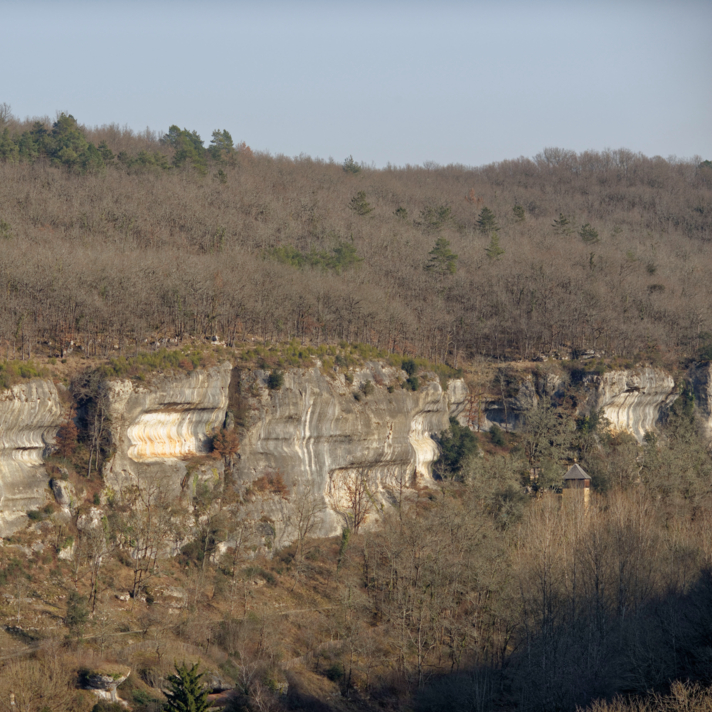 La Grotte de Font-de-Gaume