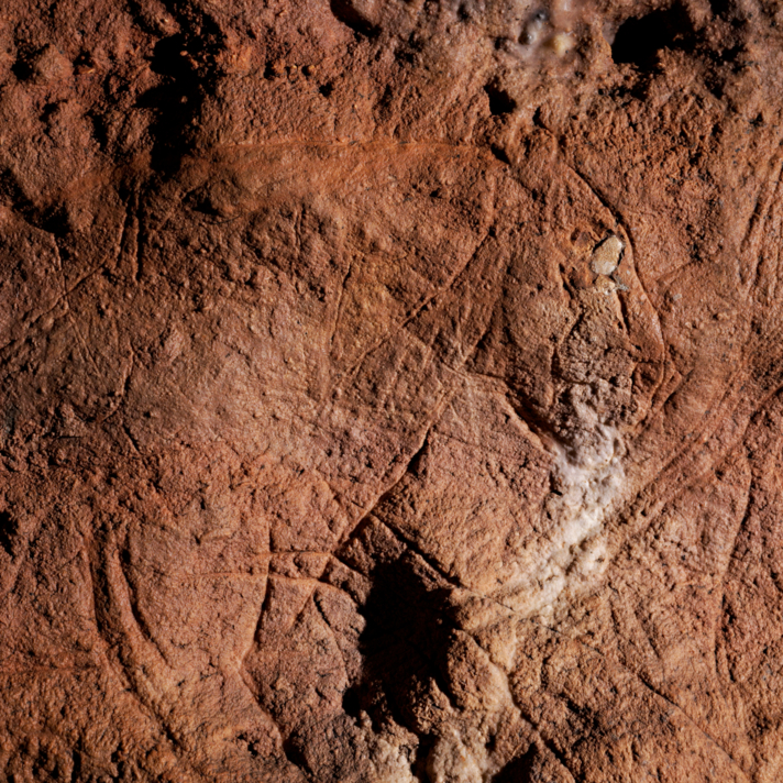La Grotte des Combarelles