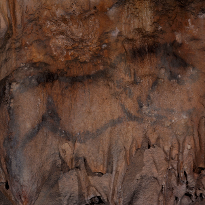 La Grotte de Font-de-Gaume